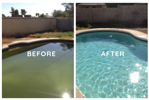 Finally! Easy Solutions to Pool Maintenance!