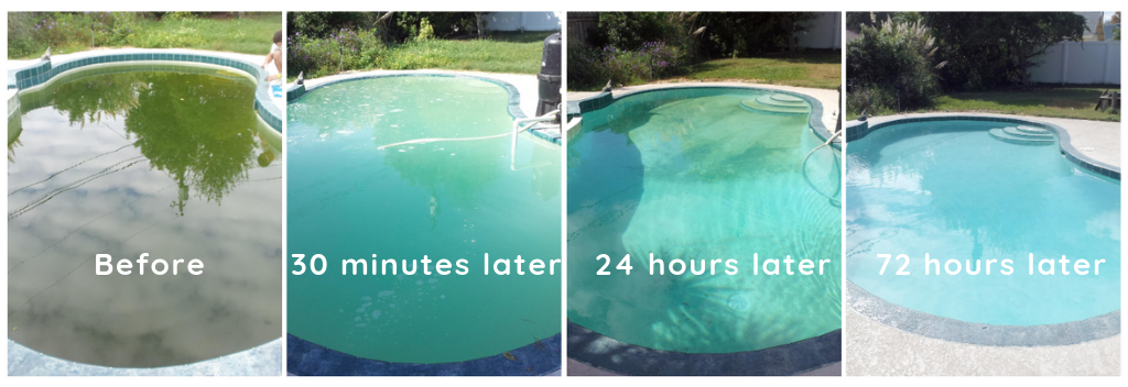 How To Clean a Murky Green Pool FAST with Revive!