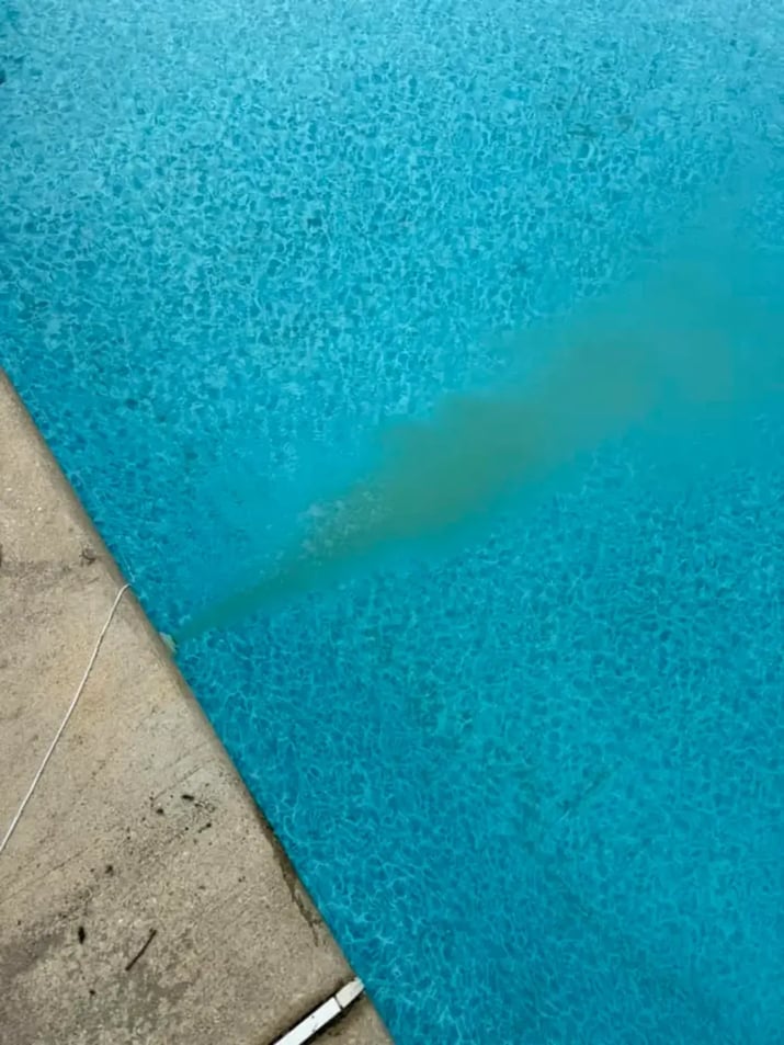 How to Beat Algae Growing in Your Swimming Pool