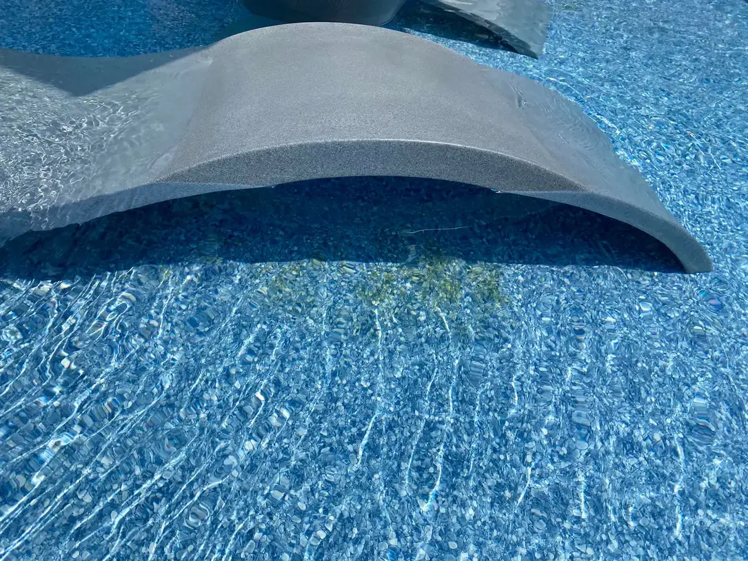 How to Beat Algae Growing in Your Swimming Pool